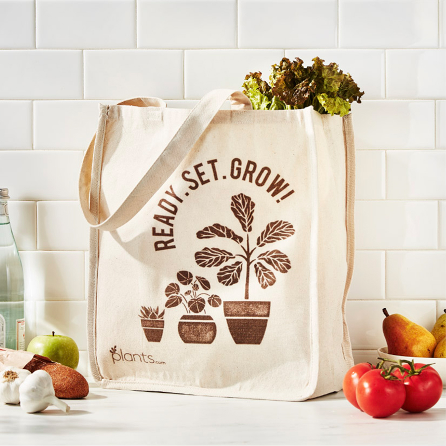 Ready Set Grow Tote | plants.com